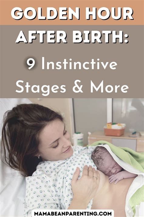 Golden Hour After Birth 9 Instinctive Stages And More After Birth