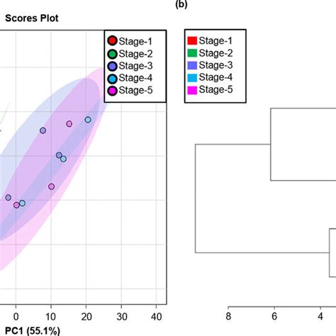 a principal component analysis of samples plotted against their