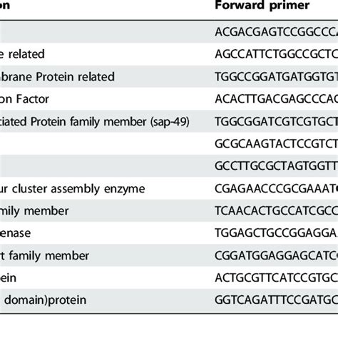 Primer Information Of Selected Candidate Reference Genes Download Table