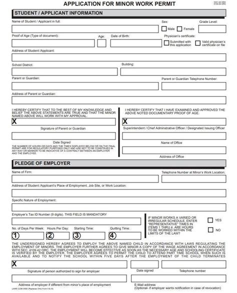 Minor Work Permit Pdf Document Etsy