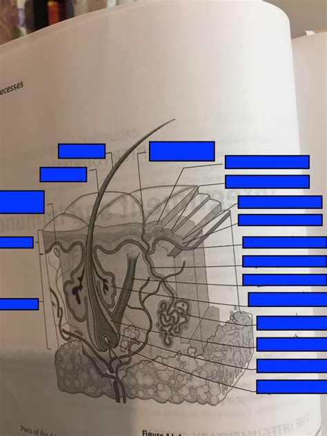 Quiz Mistakes Diagram Quizlet