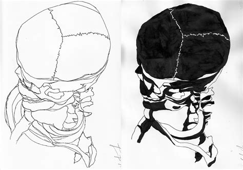 Contour Line Drawing Mrs Milewski S Digital Classroom