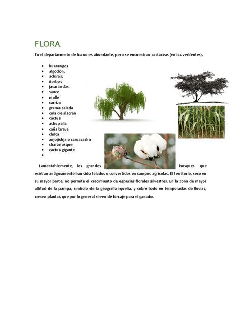 Flora Y Fauna De La Region De Ica Pdf