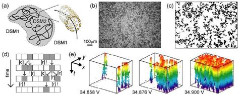 Color Online Spatiotemporal Intermittency Between Dsm1 And Dsm2 A