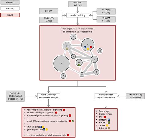 Data Analysis Workflow And Results Schematic Representation Of The