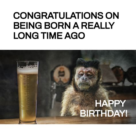 Happy Beer Meme Happy New Beer S Find And Share On Giphy