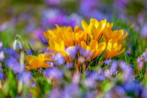 Embracing Mental Health Renewal Springs Healing Touch