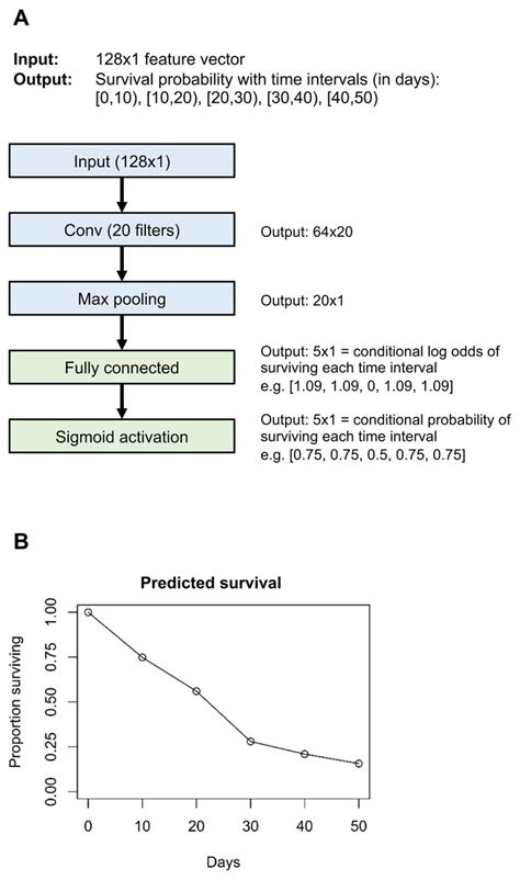 A Scalable Discrete Time Survival Model For Neural Networks Peerj