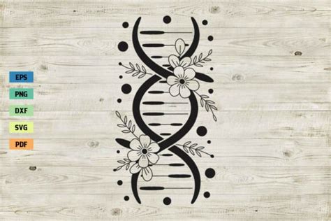 Floral Dna Svg Molecule Dna Svg Vector Graphic By Svgdesignhouse
