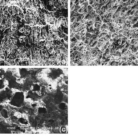 Sem Fractographs Showing Brittle Transgranular Fracture Surface And Download Scientific Diagram