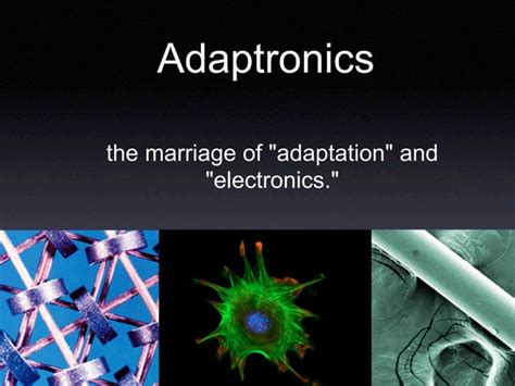 Self Assembling Materials Ppt