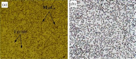 Microstructure Consisting Of Randomly Dispersed Particles Of M23C6 Download Scientific Diagram
