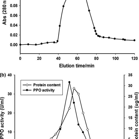Chromatographic Elution Profile A And Enzyme Activity Peak B Of Ppo Download Scientific
