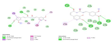 2d View Of The Binding Conformation Of Molecule 1 And 2 At The Active