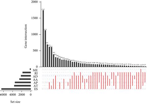 As Events Profiling In Hnscc A Upset Plot Of All As Events In Hnscc
