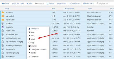 How To Install Wordpress Manually Without Using Any Built In Cpanel Tool