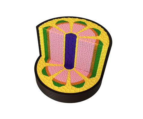 Модель Строение стебля