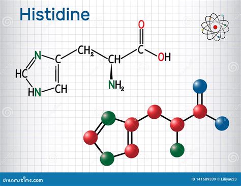 Histidine L Histidine His H Amino Acid Molecule Skeletal Formula