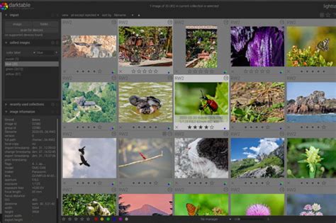 Best GIMP Plugins Installation Guide