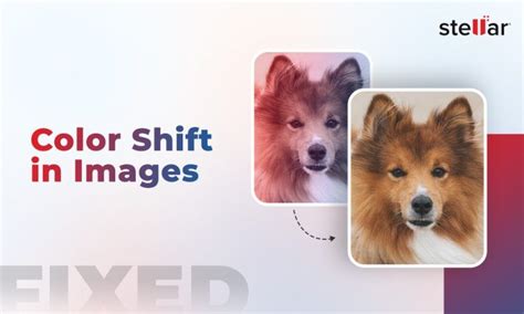 How To Fix Photos App File System Error