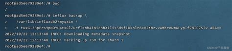 docker安装influxdb及备份恢复 influxdb恢复所有数据 csdn博客