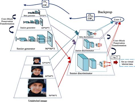 The Architecture Of Our Semi Supervised Self Growing Generative