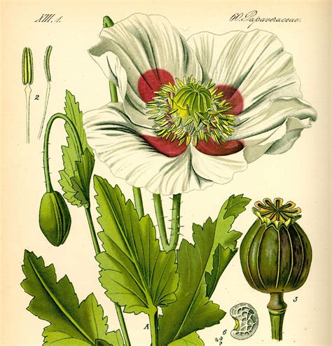 Does My Teen Need A Label For Her Sexual Orientation