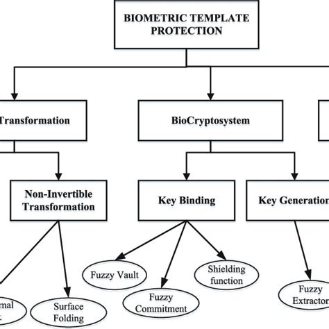Biometric Template Protection Techniques Download Scientific Diagram