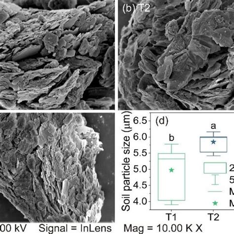 The Sem Patterns Ac And Average Soil Particle Sizes D In Soil