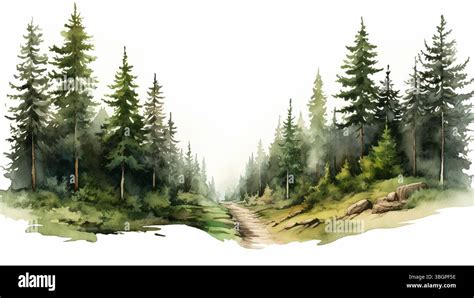 Calm Forest Mood Cut Out Stock Images And Pictures Alamy