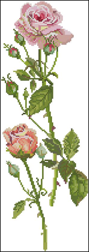 Click To Close Image Click And Drag To Move Use Arrow Keys For Next And Previous