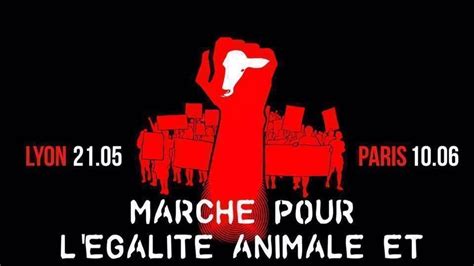 Pétition · Soutenons Tiphaine Lagarde Et Ceylan Cirik France ·