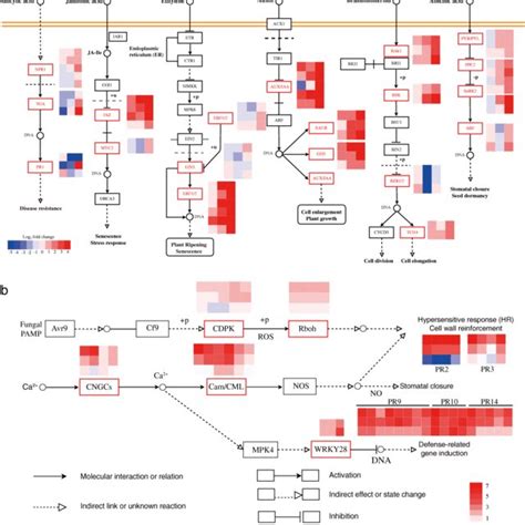 Degs Involved In Phytohormone Signaling Transduction And Plant Fungal