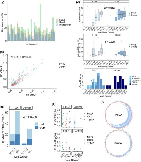 mitochondrial dna single nucleotide variants mtsnvs deletions