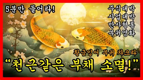 5분만 들어라🌕천근같은 부채 소멸🌕 황금잉어 부귀차크라 소원성취 로또1등 스피또 2등 부동산 주식 자기긍정 자기암시 명상음악 돈을