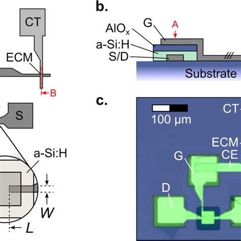 A Resistive Switching Of The Integrated Ecm Cell In A Download