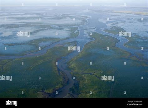 Eelgrass Beds From Air Izembek Lagoon Izembek National Wildlife