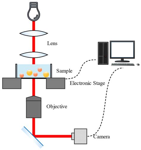 real time 3d tracking of multi particle in the wide field illumination