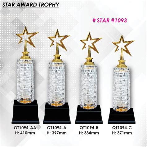 Qt1094s Star Award Trophy Silver