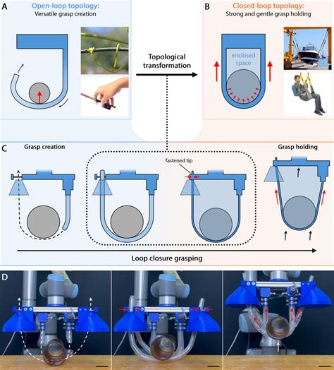 Loop Closure Grasping Topological Transformations Enable Strong Gentle And Versatile Grasps