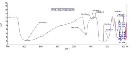 Ftir Spectrum Of Immobilized Cellulase On Mnps Teos Aptes