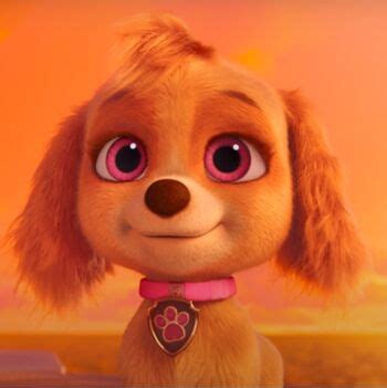 Stella Wiki Paw Patrol La Pat Patrouille Fandom