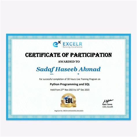 Sadaf Dongoankar On Linkedin Trainingprogram Internship Python Sql