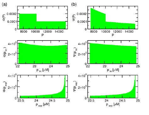 Distributions For Protein Number And Concentrations As Arising From The