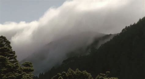 The Triassic By Alexempire19 On Deviantart