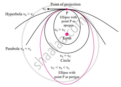 Answer The Following Question In Detail Draw A Well Labelled Diagram