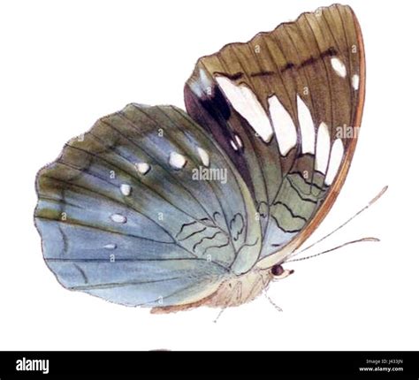 Naming Conventions Cut Out Stock Images And Pictures Alamy