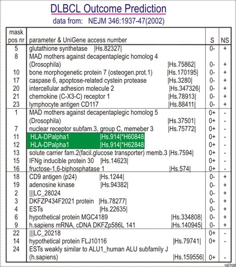 Dlbcl Disease Classification Masks