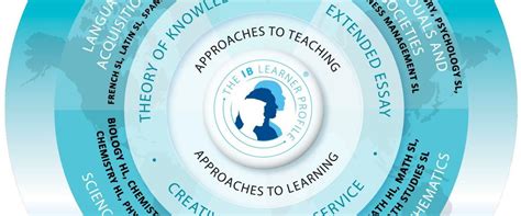 Ib应该如何选课？怎么规划？ 知乎