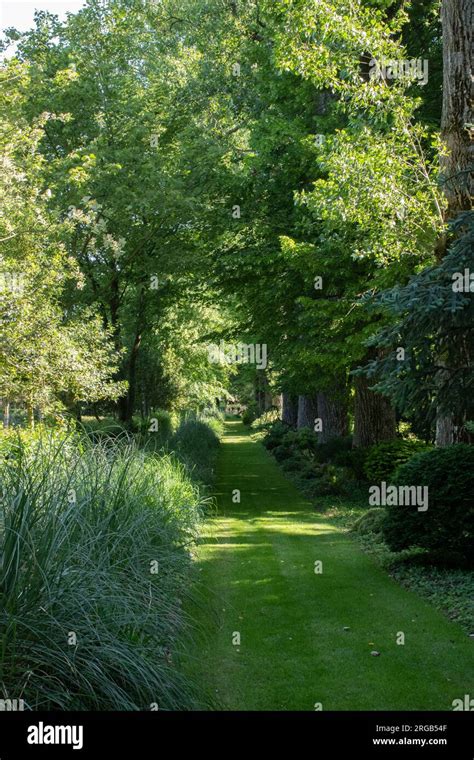 Jardins De Maizicourt Tree Lined Walk Stock Photo Alamy